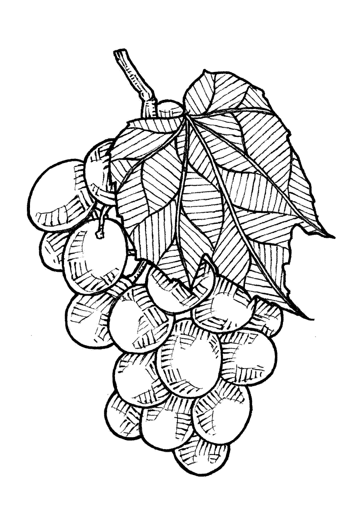 Sherry i matlagning | Systembolaget